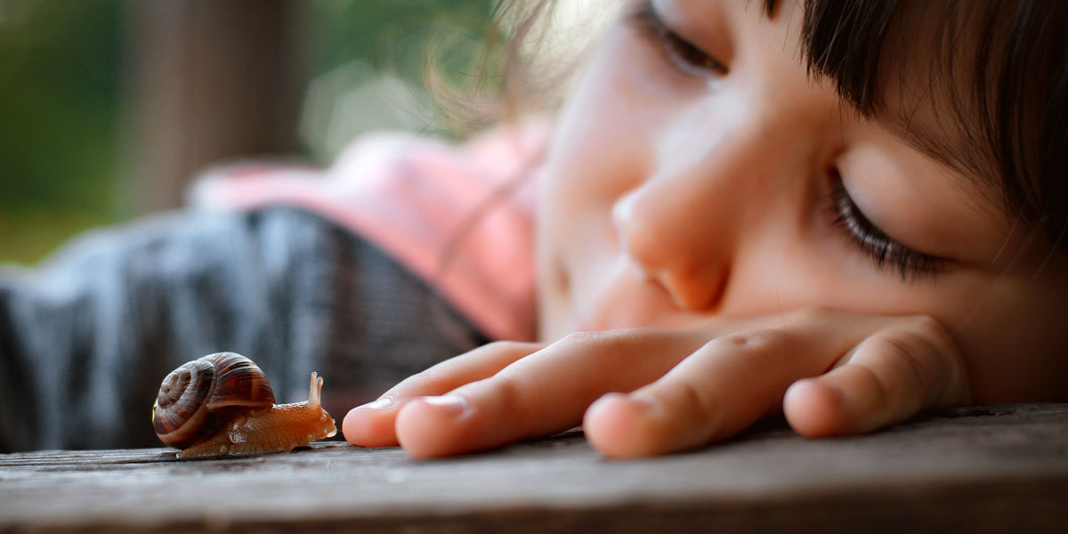 What Are the Benefits of Slugs & Snails? | Guest Blog | Ark Wildlife