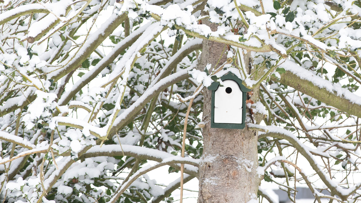 Vivara Pro Wildlife Products & Habitats | Buy Online - Ark Wildlife UK