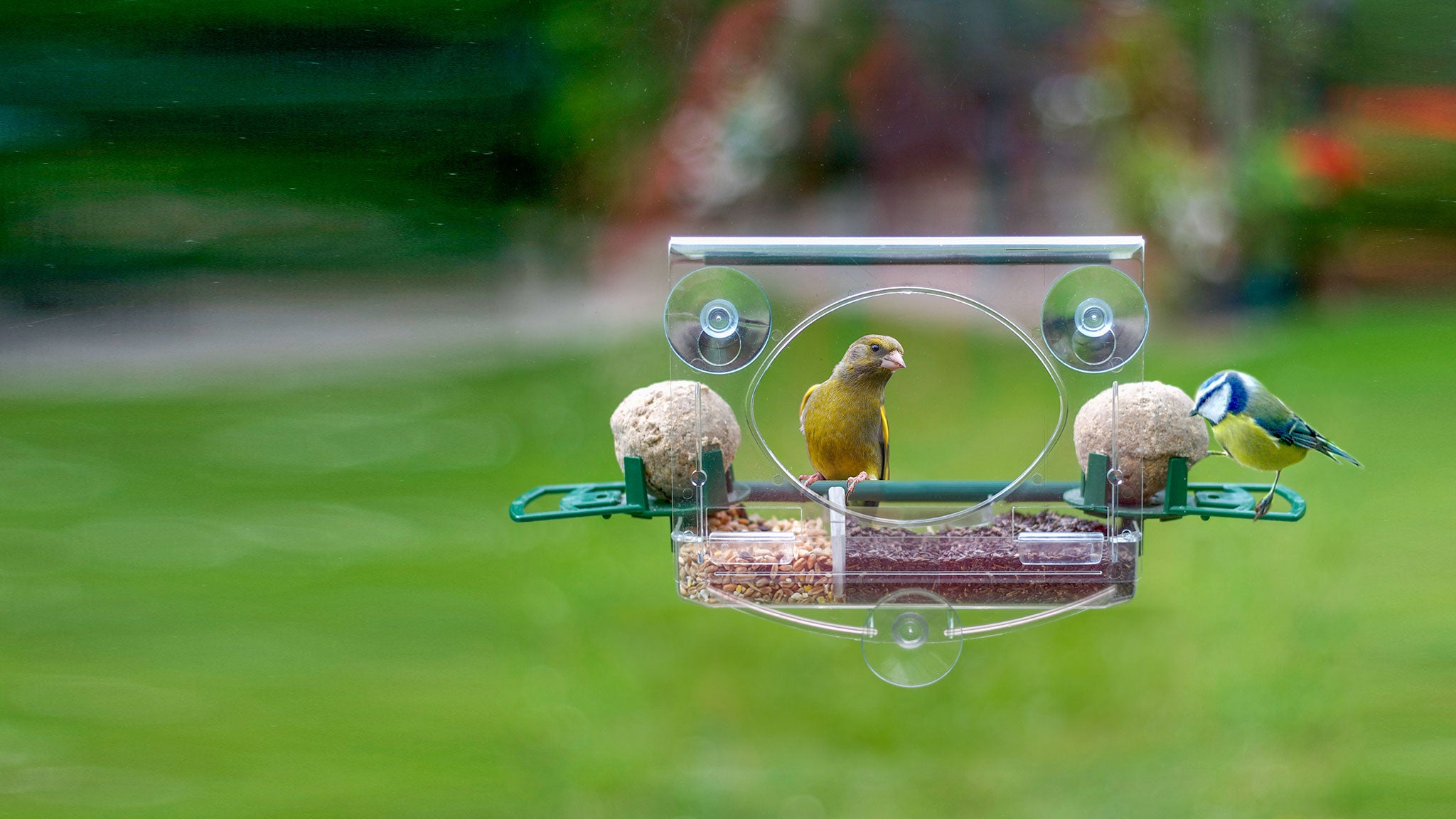 Bird Feeders For Garden & Wild Birds UK - Ark Wildlife UK