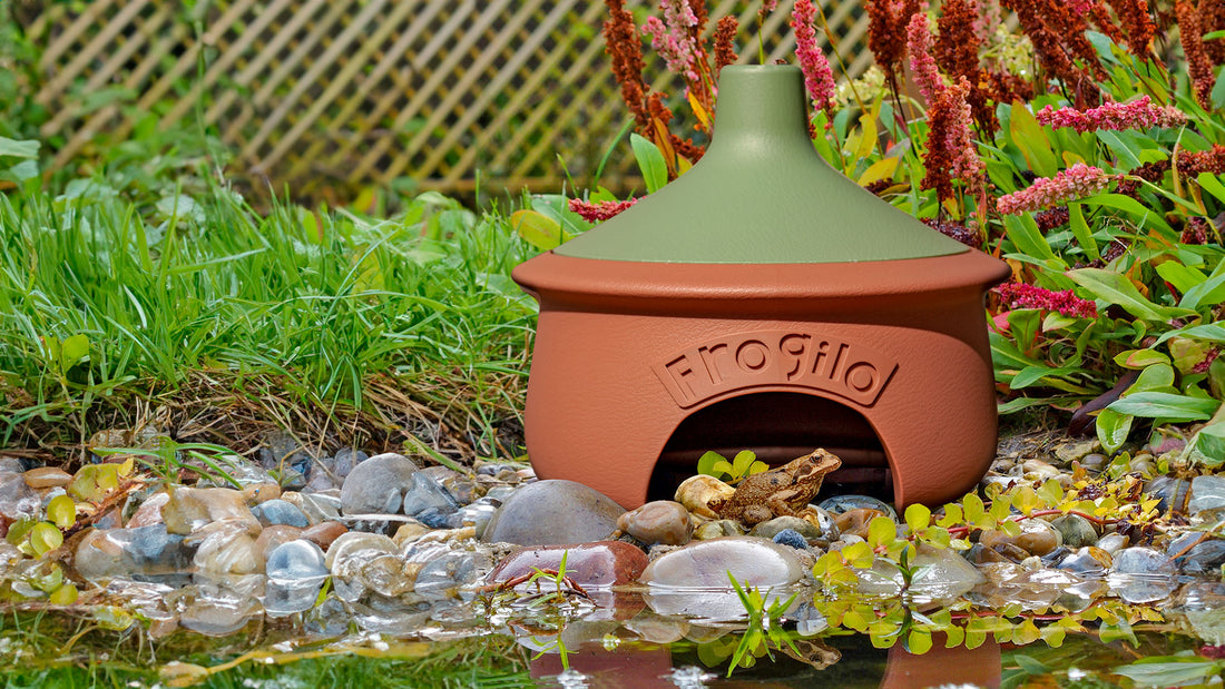 Frog & Toad Houses & Shelters | For Gardens or Ponds - Ark Wildlife UK