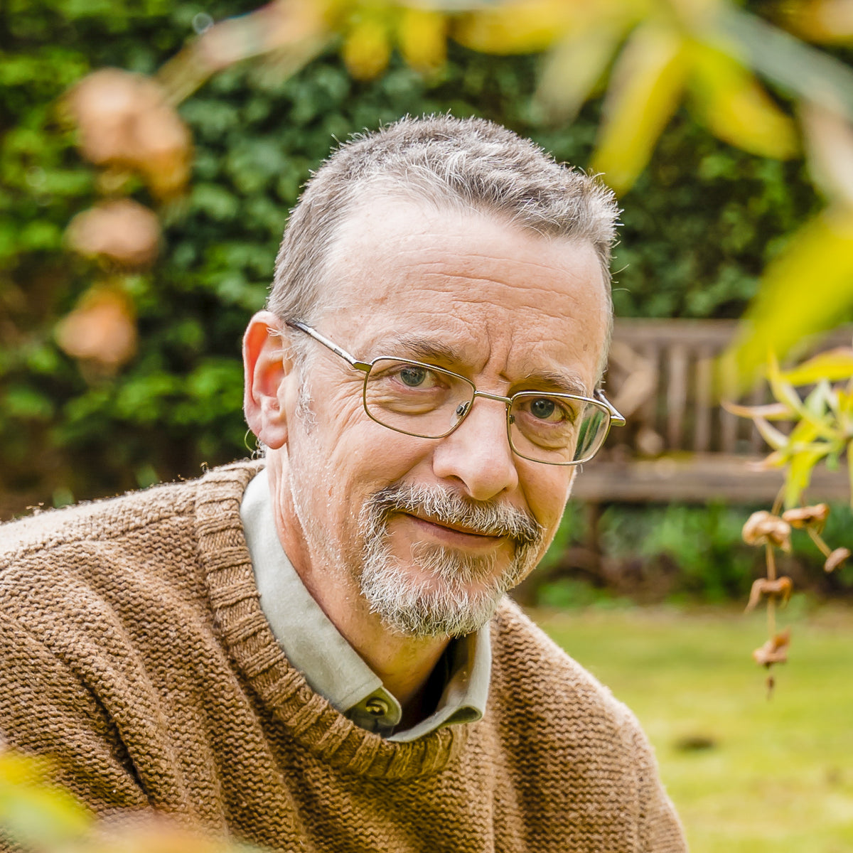 Where Do Birds Go at Night? A Closer Look at the Secret Life of Garden