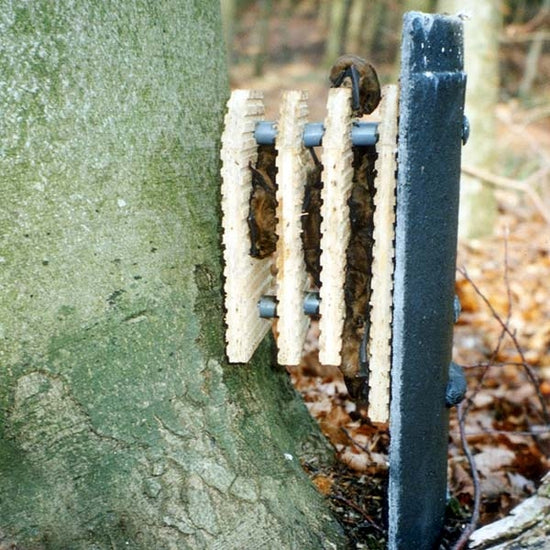 Schwegler 1FW Bat Hibernation Box - Ark Wildlife UK