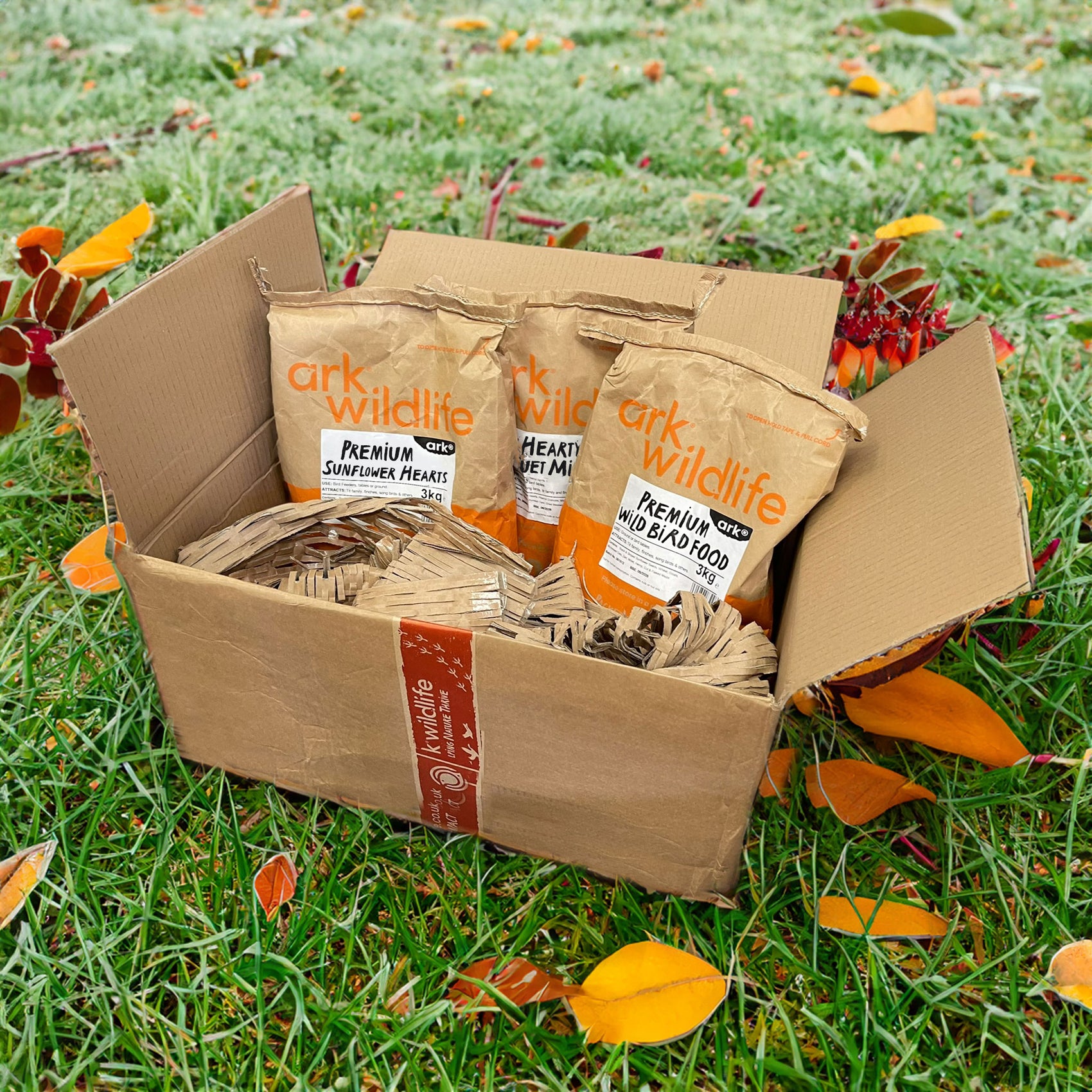 Schwegler 1FF Bat Box - The Professional Choice - Ark Wildlife UK