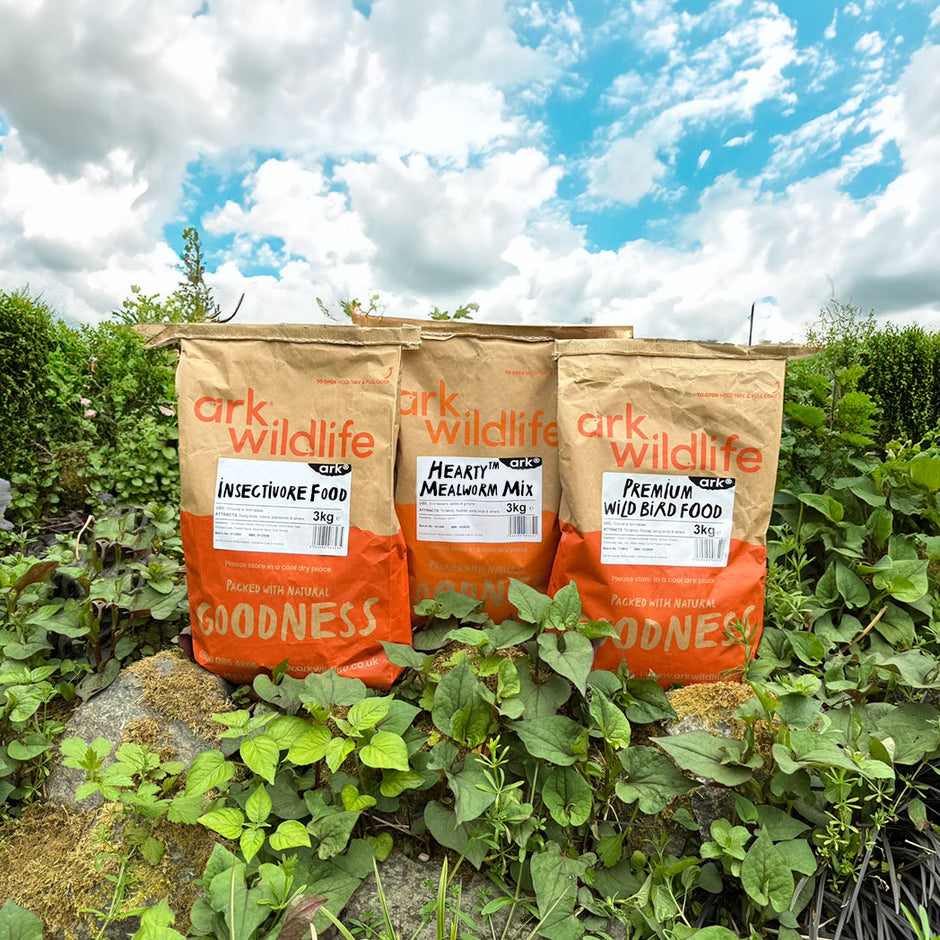 Vivara Pro Wildlife Products & Habitats | Buy Online - Ark Wildlife UK