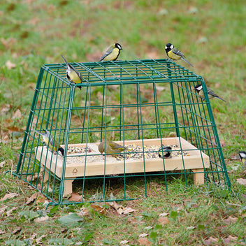 Ground Feeder Cage for Small & Large Birds | Ark Wildlife UK