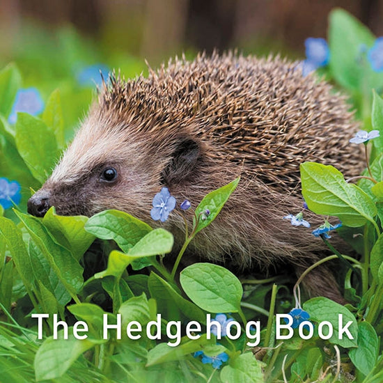 The Hedgehog Book by Hugh Warwick - Ark Wildlife