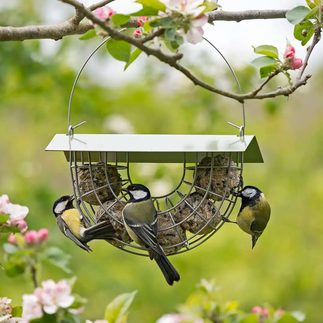 Fat & Suet Ball Basket Feeder | Durable Suet Feeder for Garden Birds