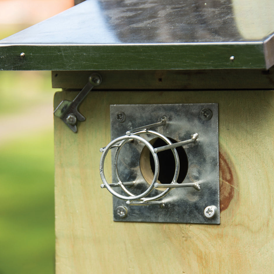 Bird Box Hole Protectors & Plates | Nest Box Protection - Ark Wildlife UK