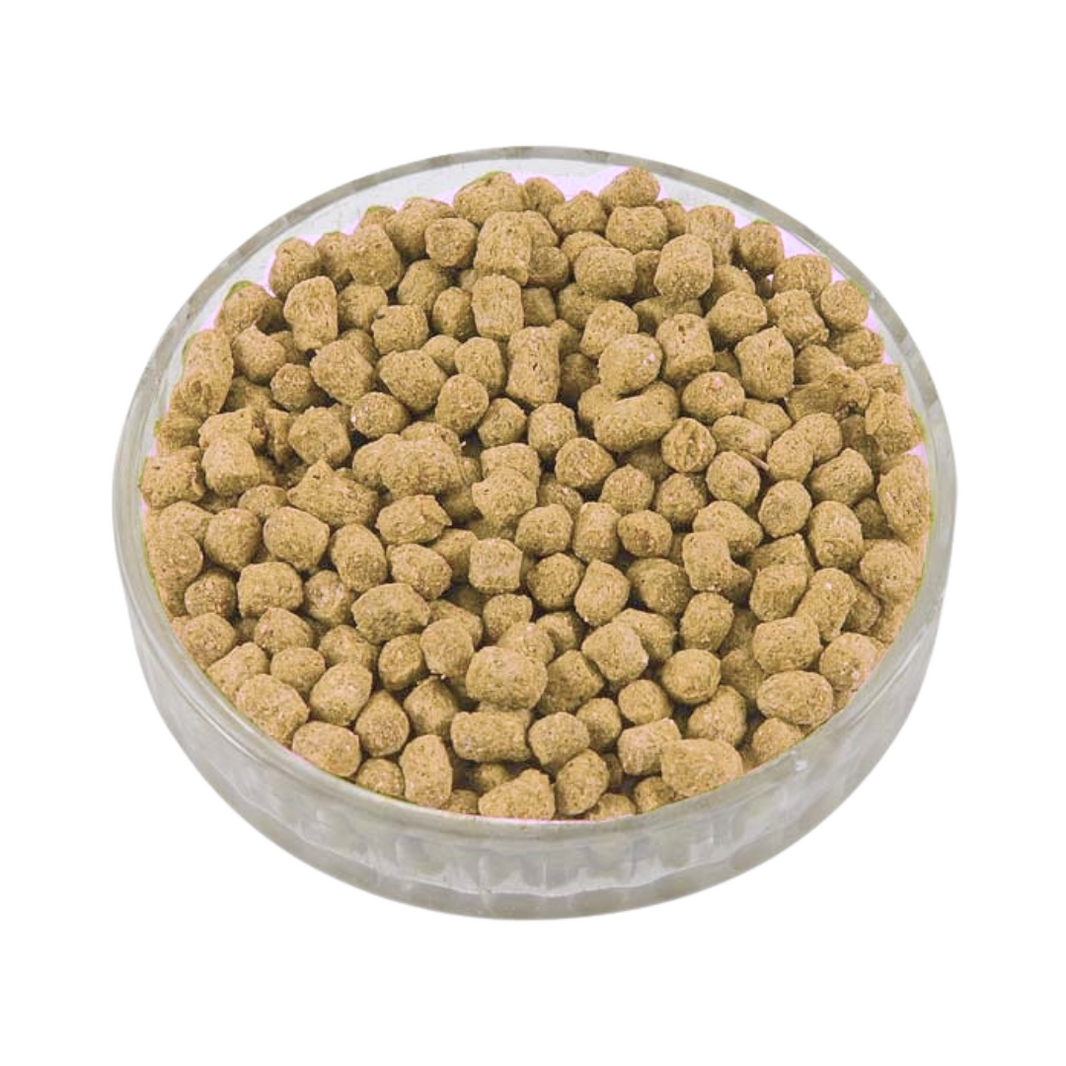 Buy Wild Bird Food & Seed Online - Ark Wildlife UK