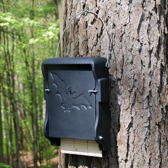 Schwegler 1FF Bat Box - The Professional Choice - Ark Wildlife UK