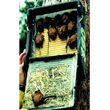 Schwegler Bat Boxes & Hibernation Boxes UK - Ark Wildlife UK