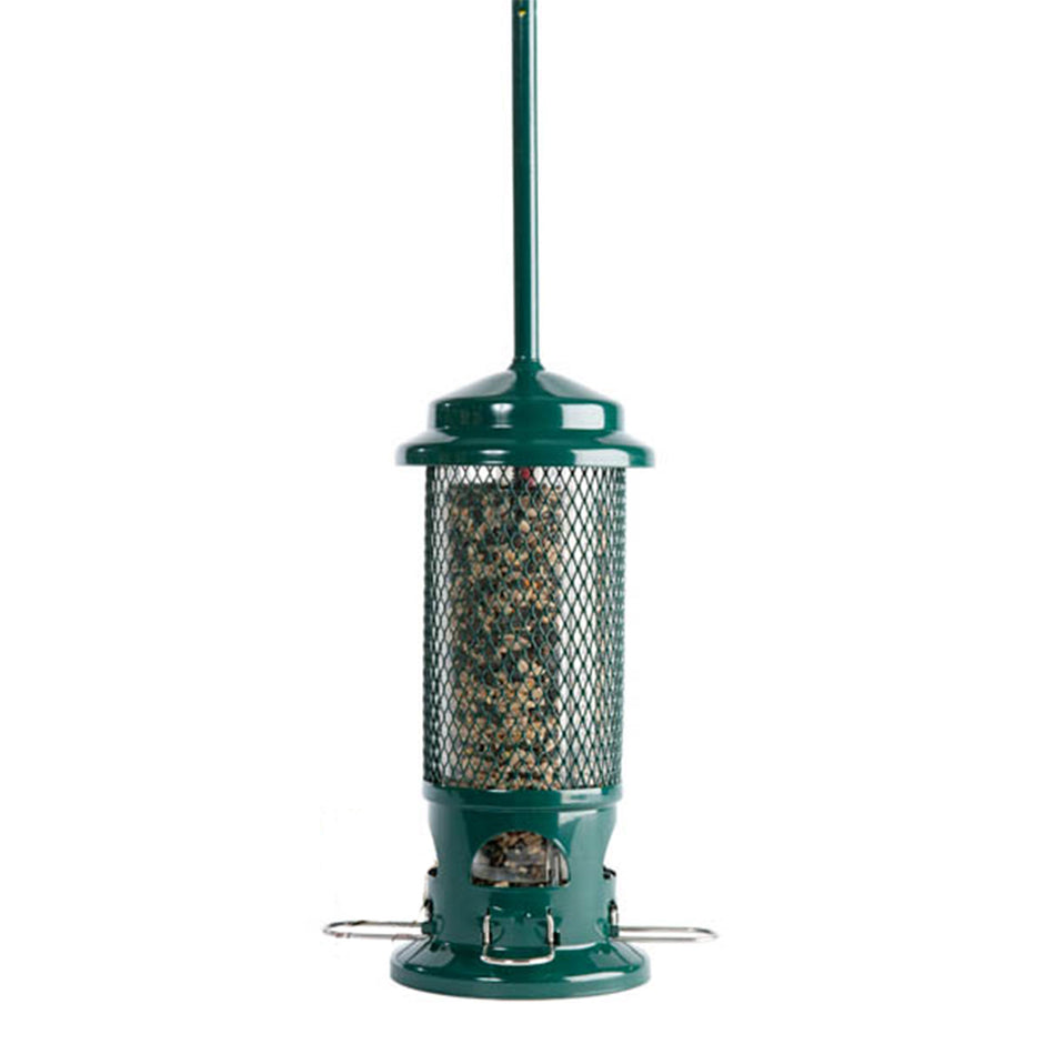 Squirrel Nests: All You Need To Know | Ark Wildlife