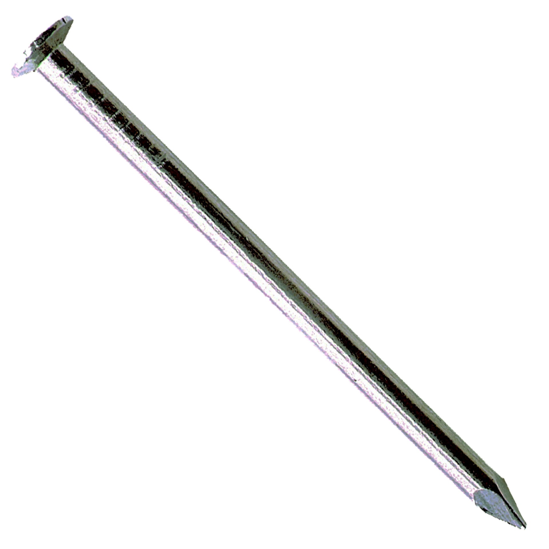Aluminium Nails Pack of 10 - Ark Wildlife UK