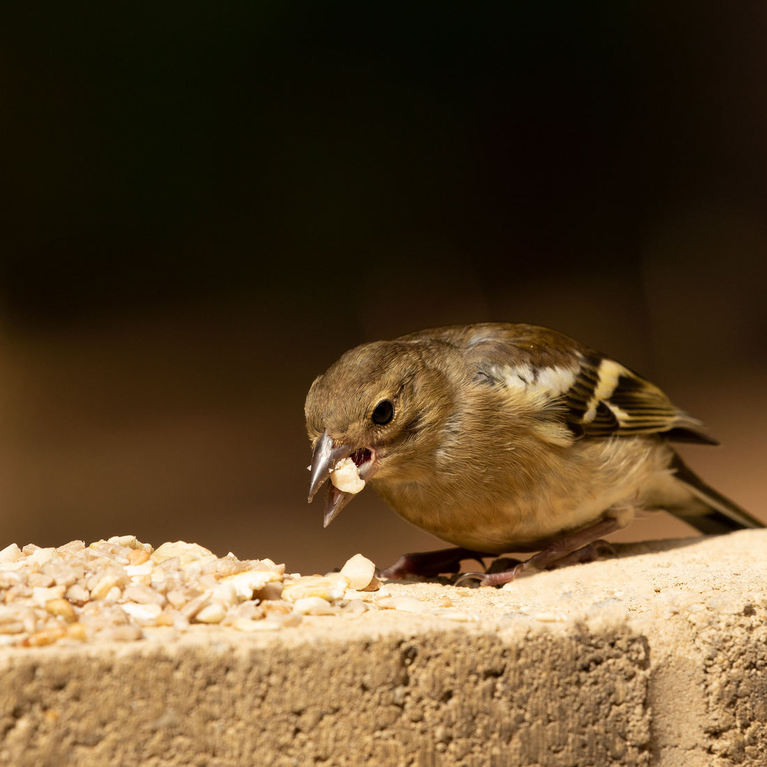 Ark Ground and Table Bird Food Mix | Ark Wildlife UK - Ark Wildlife UK