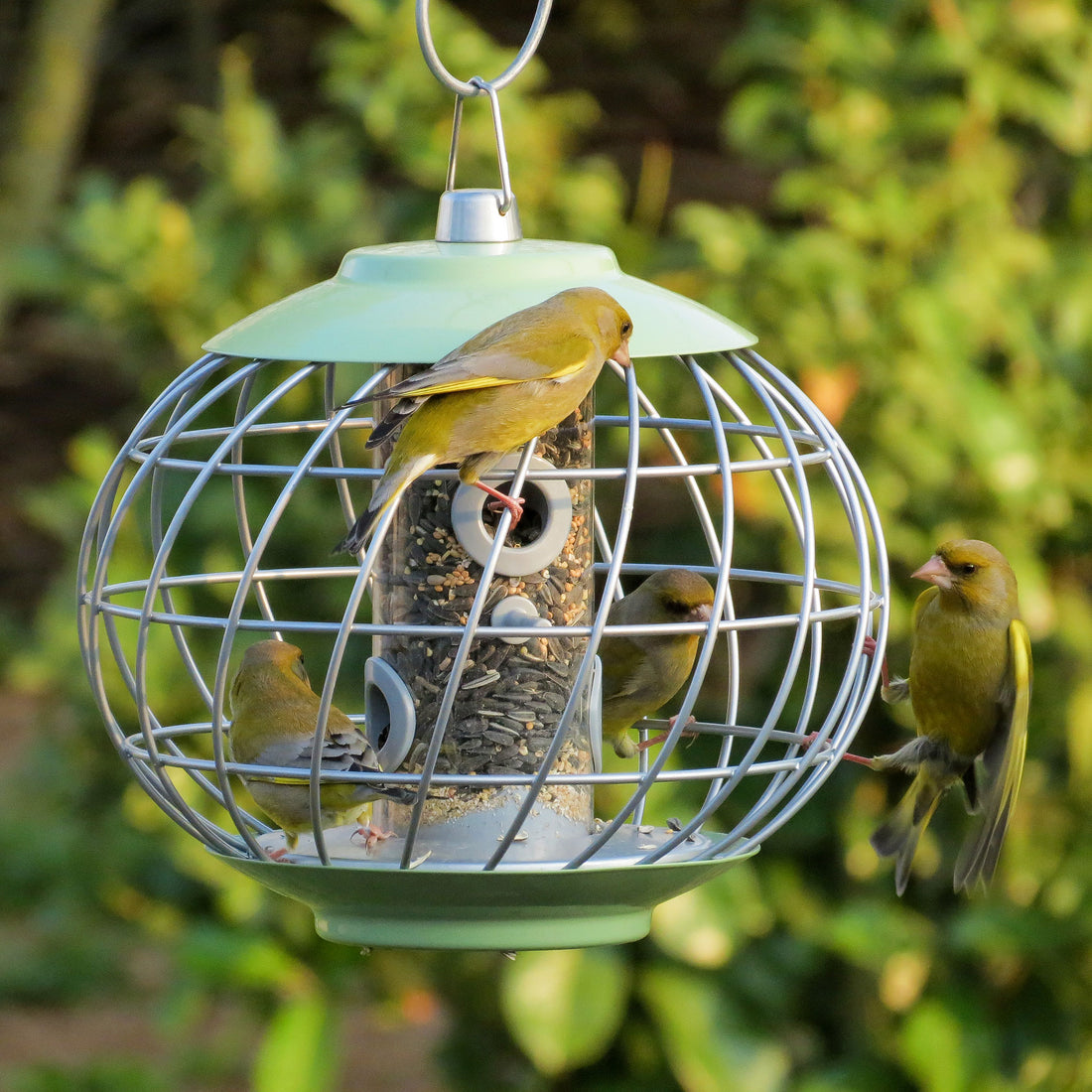 Bird Table Feeder Mix - Ark Wildlife UK