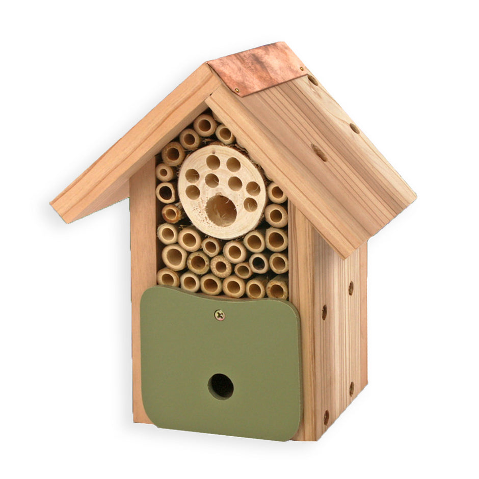 Solitary Bees, Mason Bees & Leafcutter Bees UK: A Guide - Ark Wildlife UK