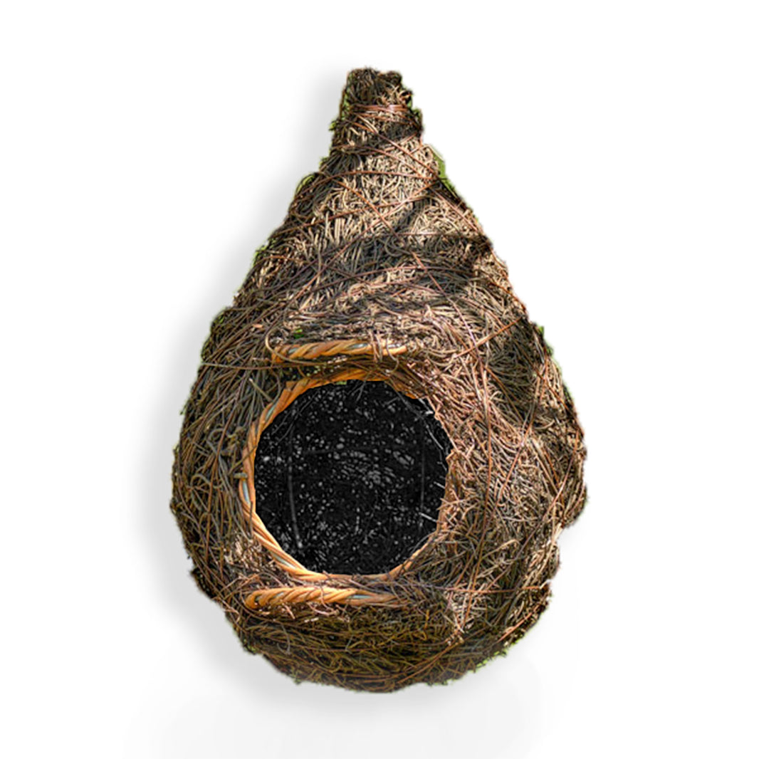 Bird Food for Robins & Songbirds - Ark Wildlife UK