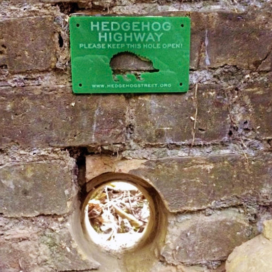 Buy Hedgehog Highway Signs | Durable Hedgehog Road Sign - Ark Wildlife