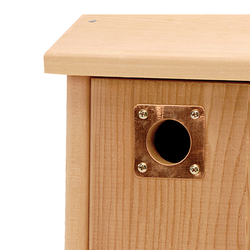 Bird Box Hole Protectors & Plates | Nest Box Protection - Ark Wildlife UK